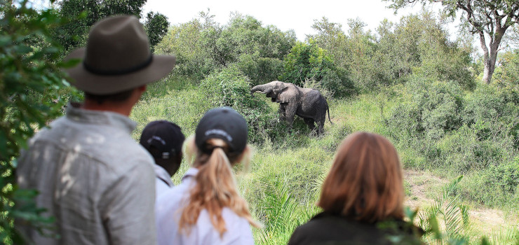 Family Safari Holidays - African Travel Gateway